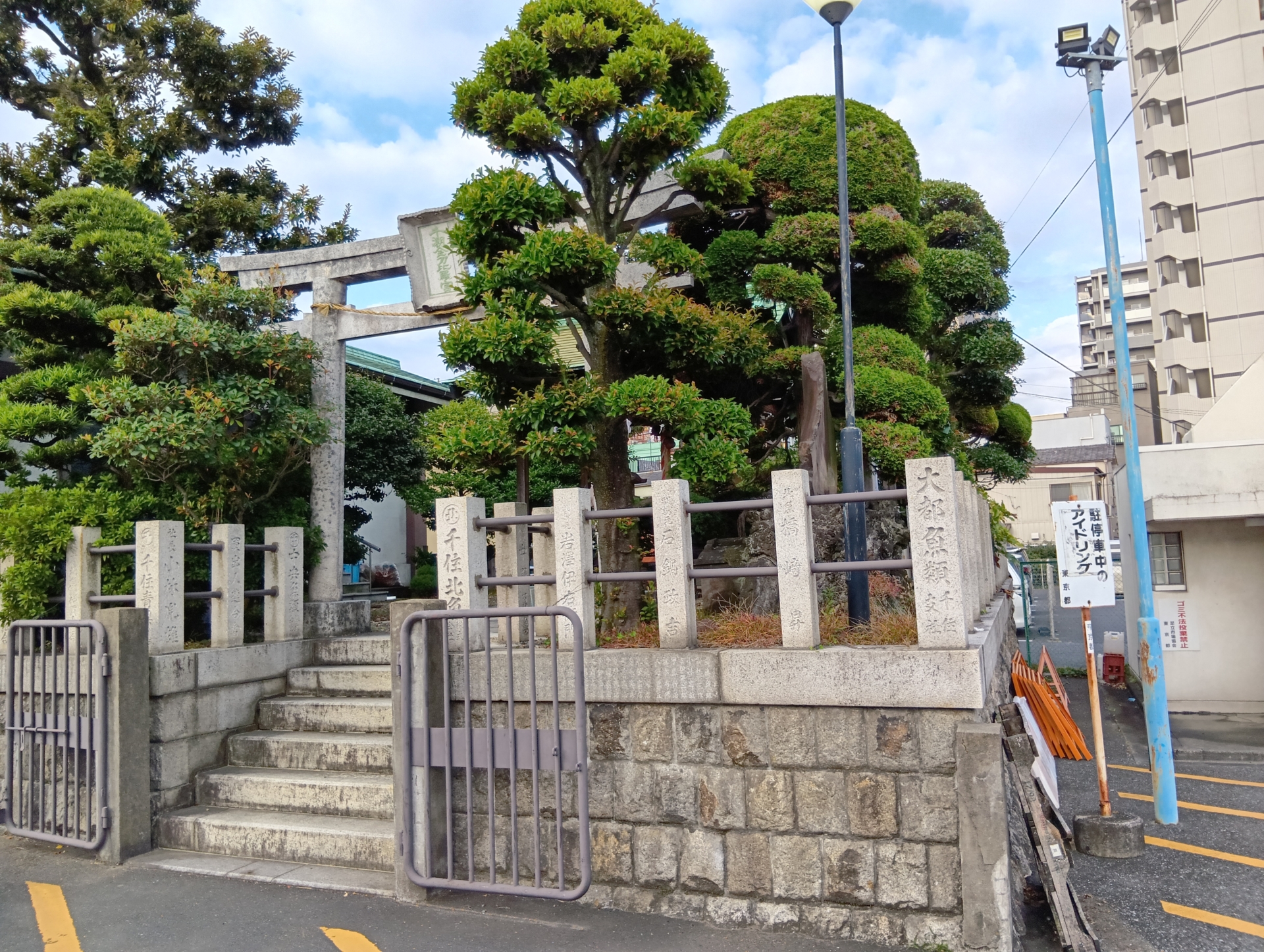 足立市場 市場初心者さん必見！ プロの台所「足立市場」で最高の食材を探す旅（前編：わくわく買い物編） | なんだかチョット良い感じ
